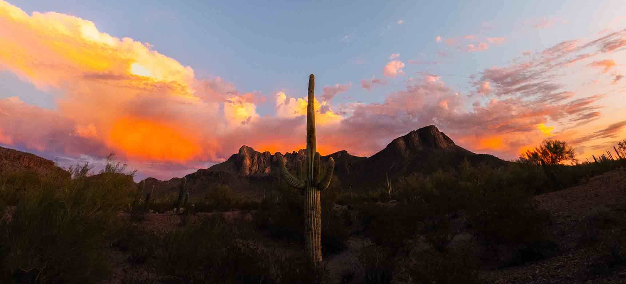 GoPro Goes Wild in the West