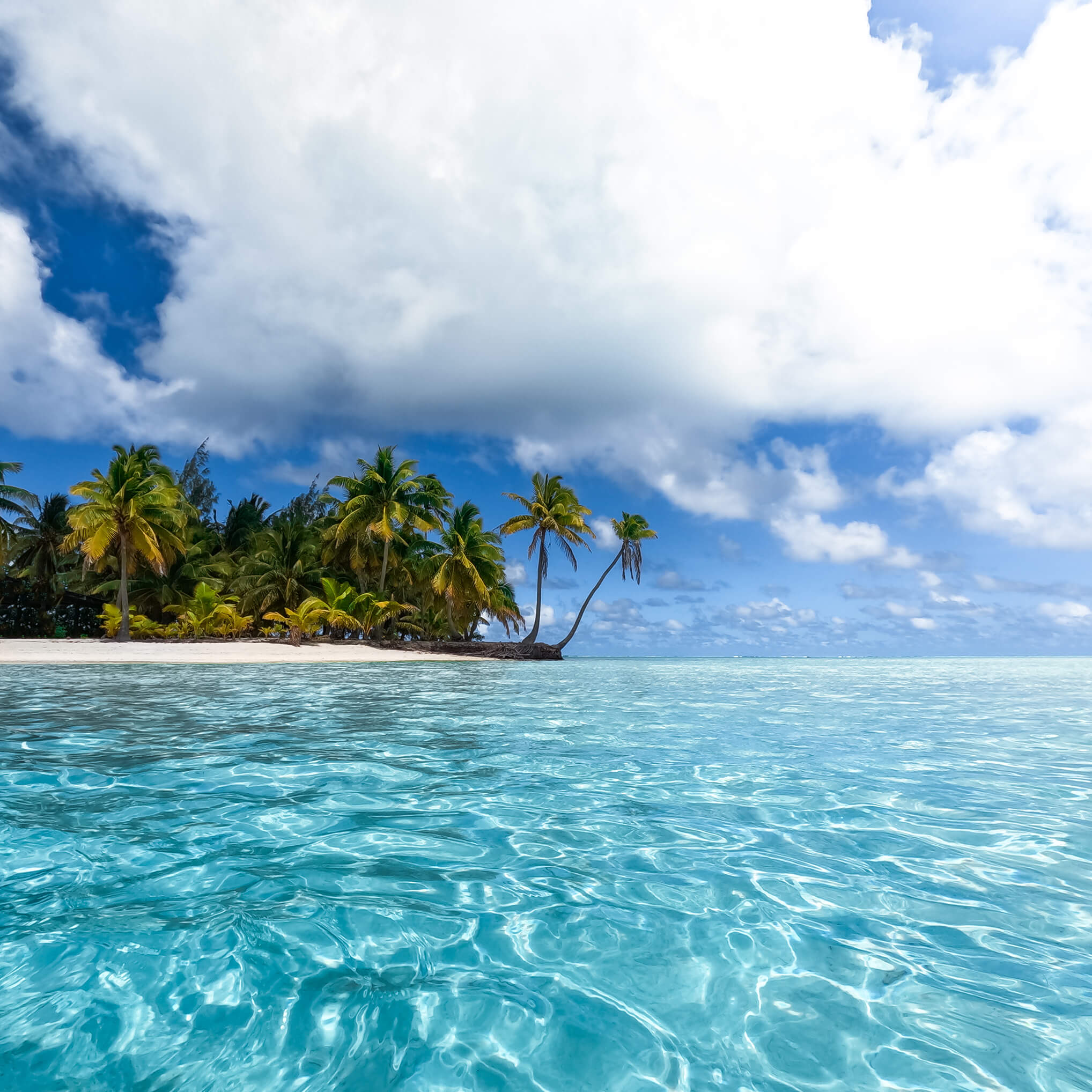 GoPro Awards Announces Earth Day Photo Challenge